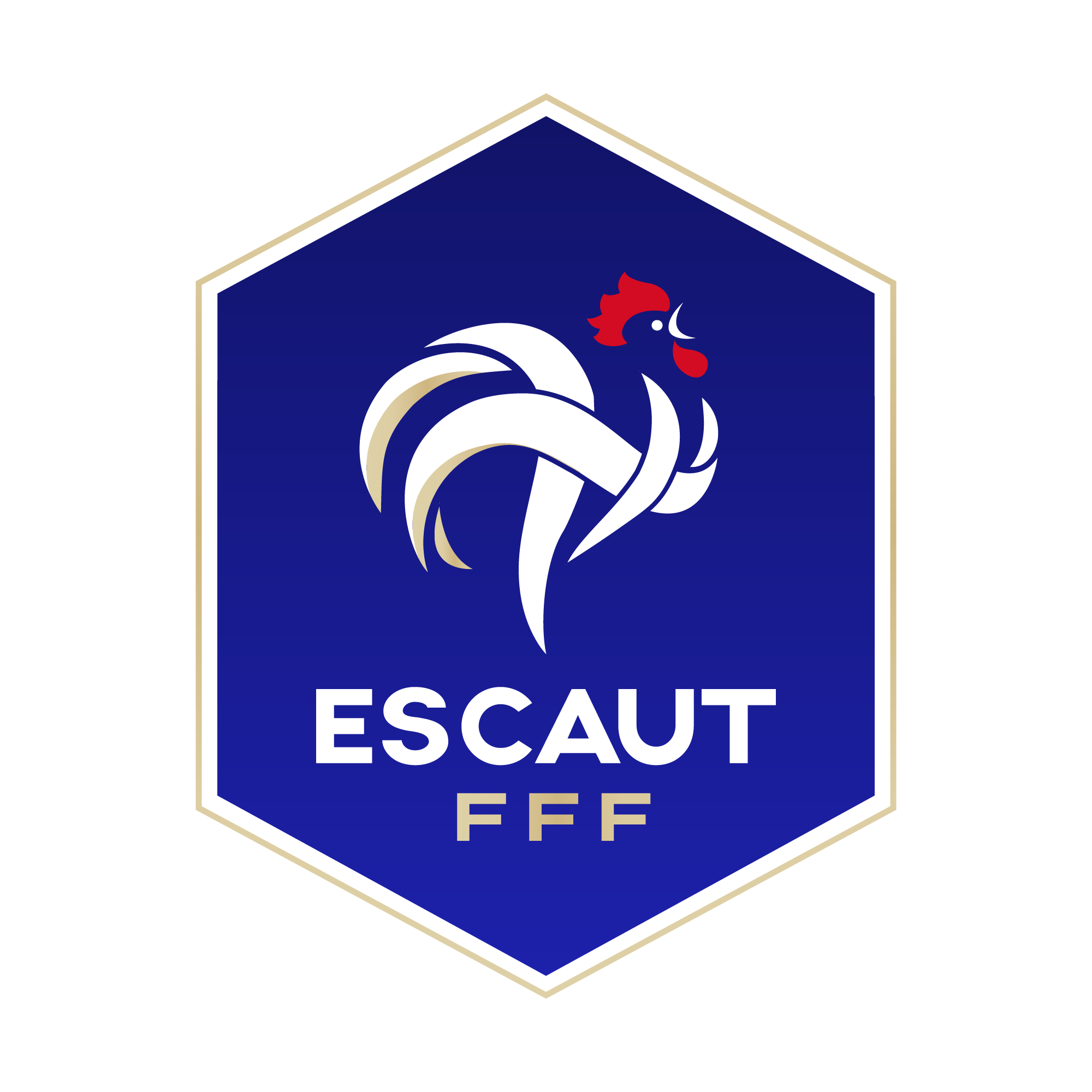 Communiqué officiel – DISTRICT ESCAUT DE FOOTBALL